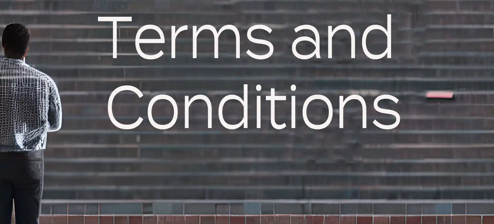 Terms and conditions